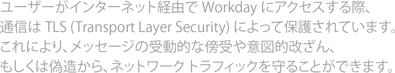 Chapter 2 - Workday Security MB JP