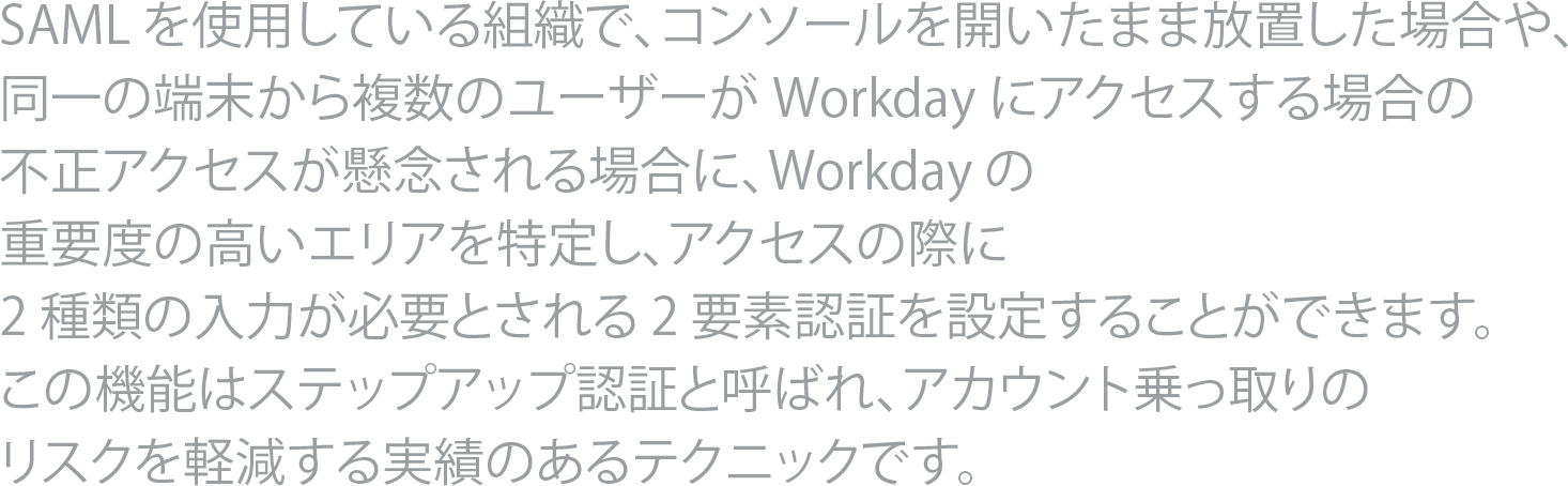 Chapter 2 - Workday Security MB JP