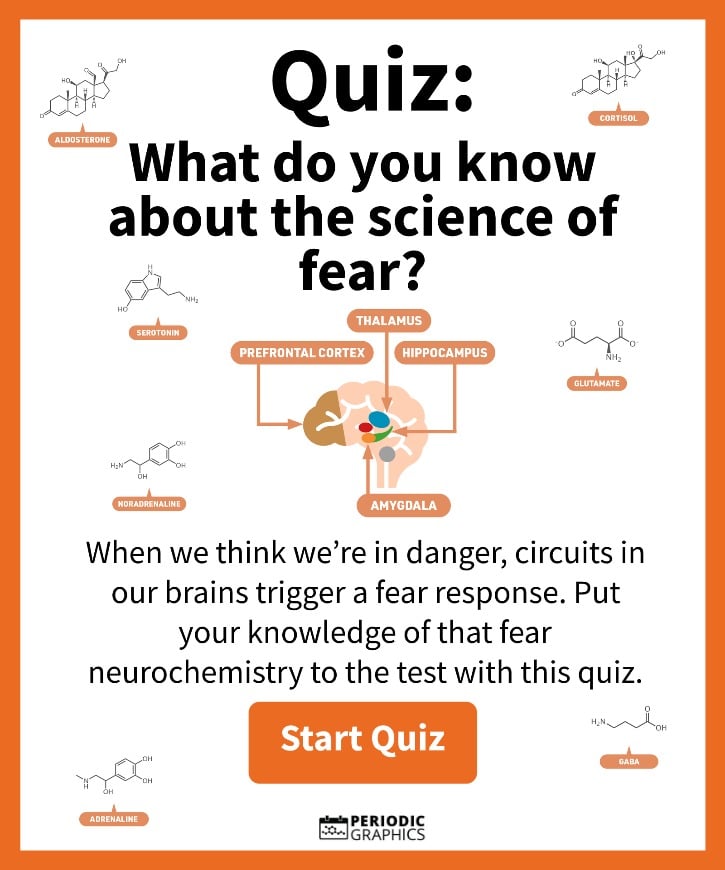 Quiz: PG- Science of Fear