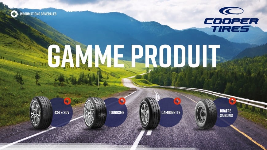 Databook 2020 Cooper Frances