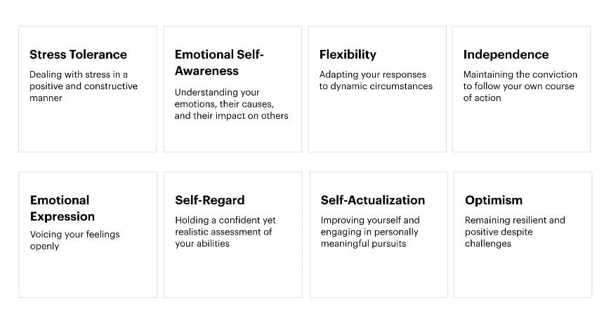 Bain Leadership Model - Developing Inner Resources