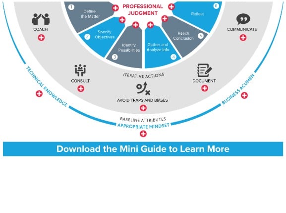 Professional Judgment Framework