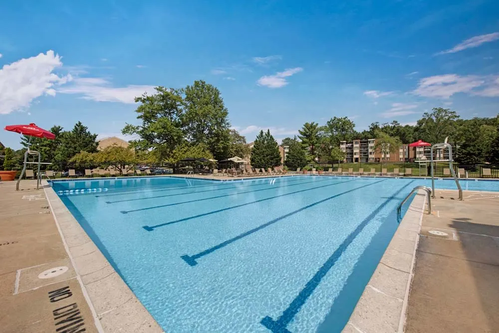 Cinnamon Run at Peppertree Farm