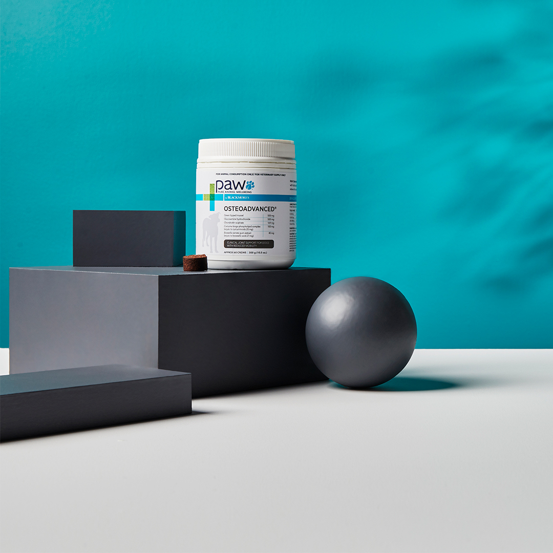 PAW Joint Landing Page - FINAL PAW by Blackmores - Joint Health Products