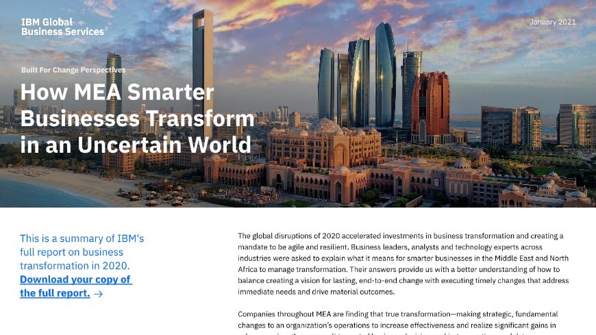 IBM Executive Summary - Wave 2