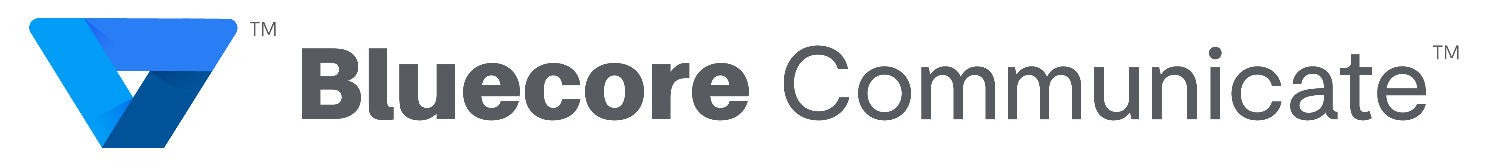 The Relevancy Ring ESP Buyer's Guide: Spotlight on Bluecore The ...