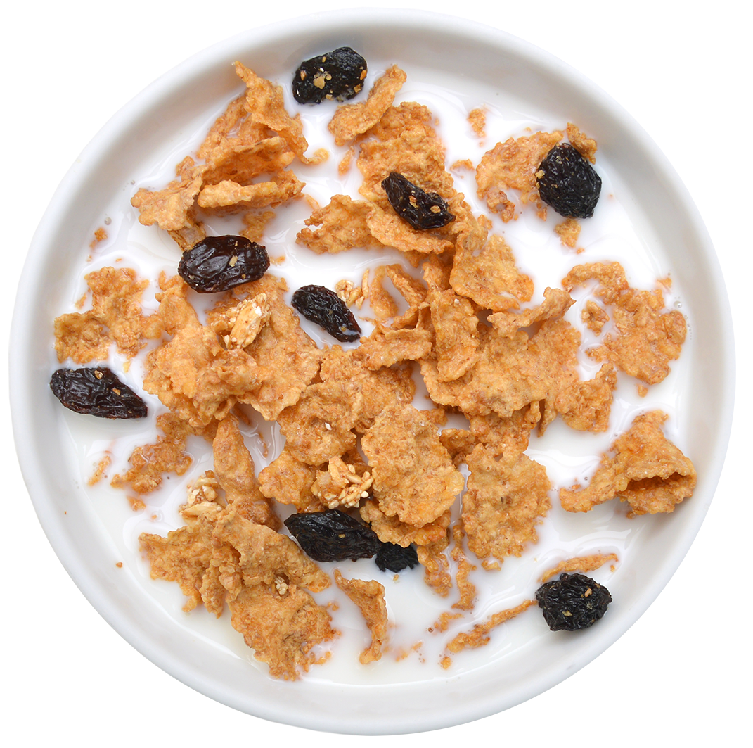 Isomaltulose Infographic (Beneo)