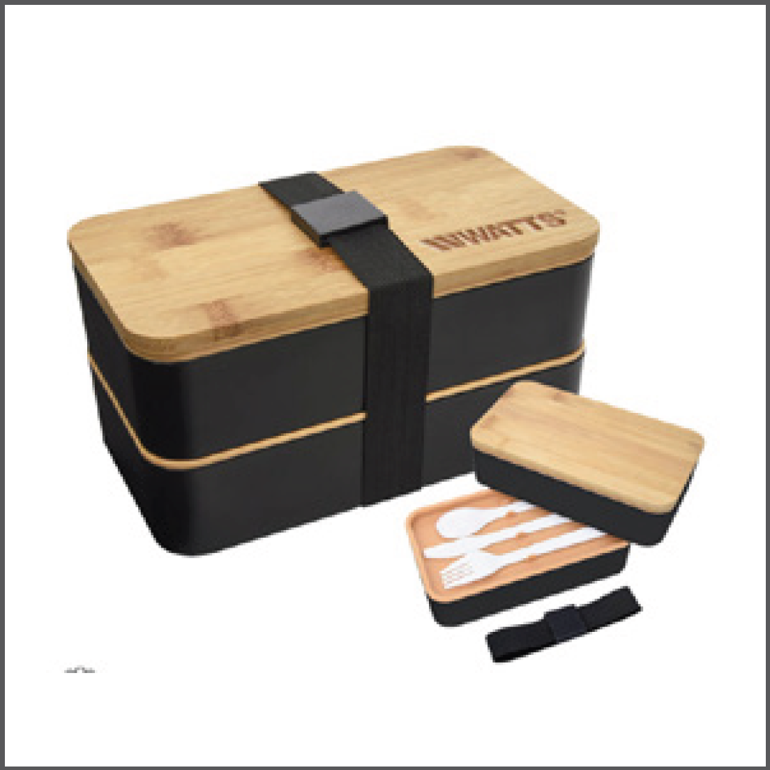 Watts eLearning Program