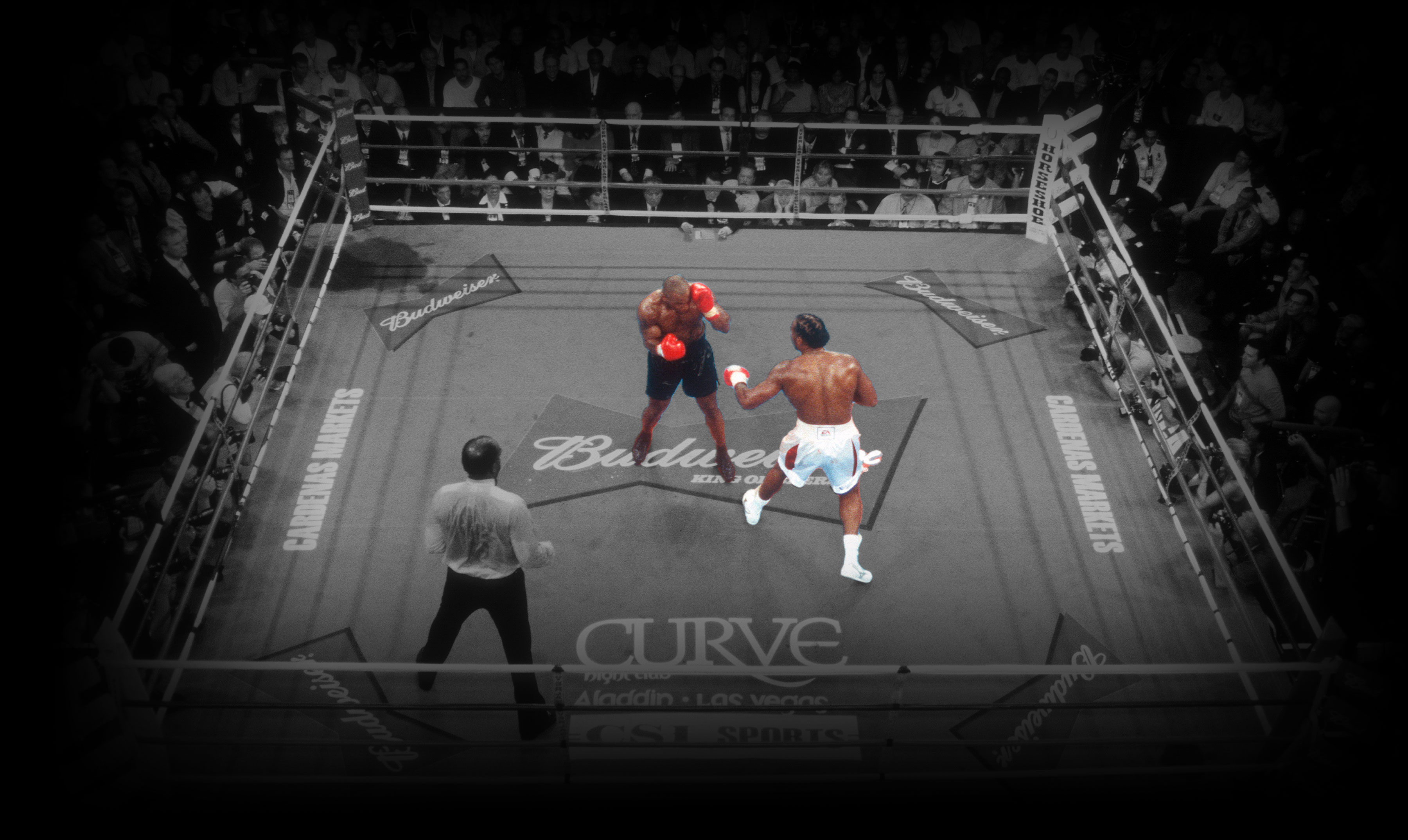 Heavyweight title defences