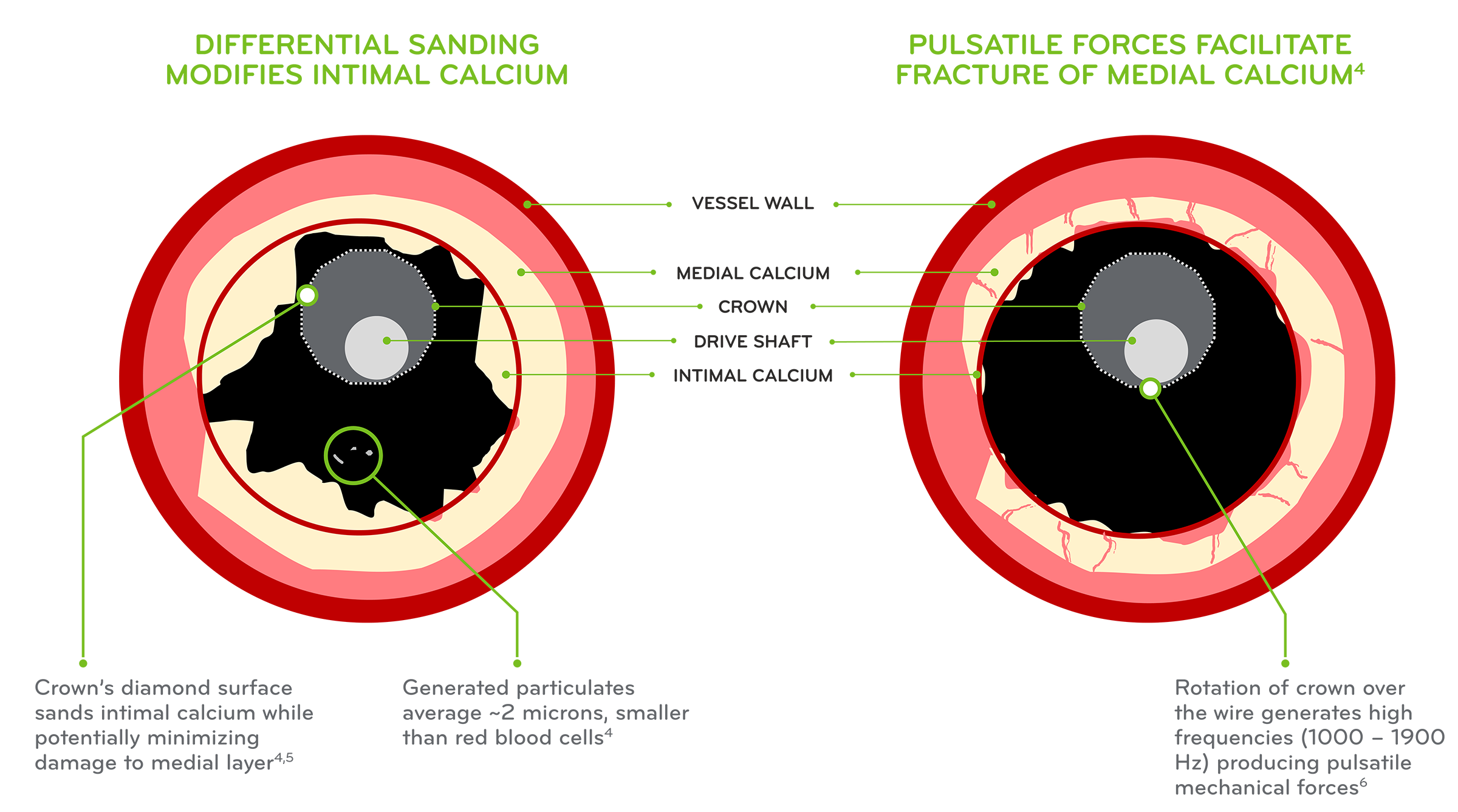 One Solution_embedded One solution, CSI, cardiovascular systems ...