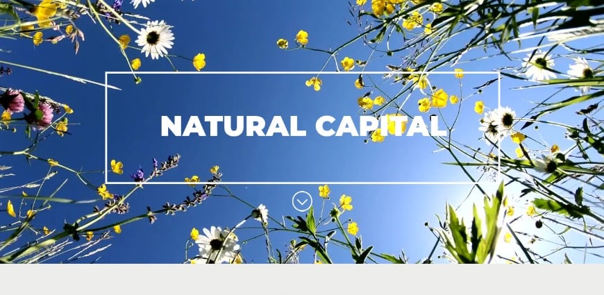Natural Capital