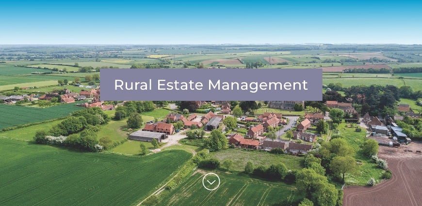 Rural Estate Management Update 0523