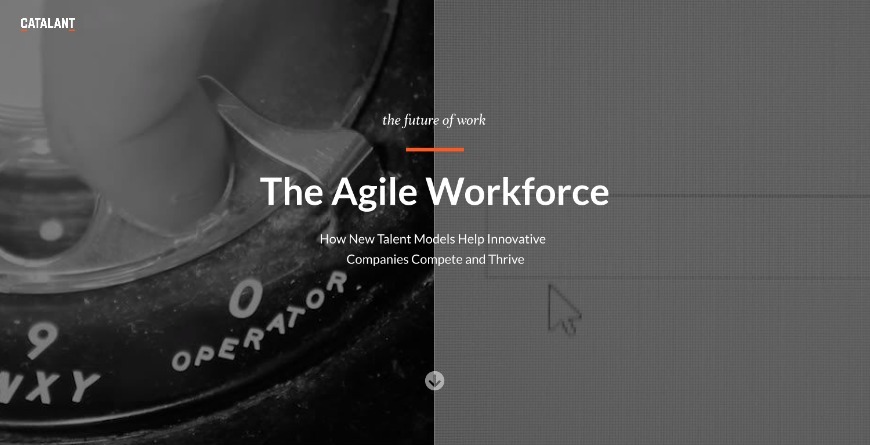 The Agile Workforce