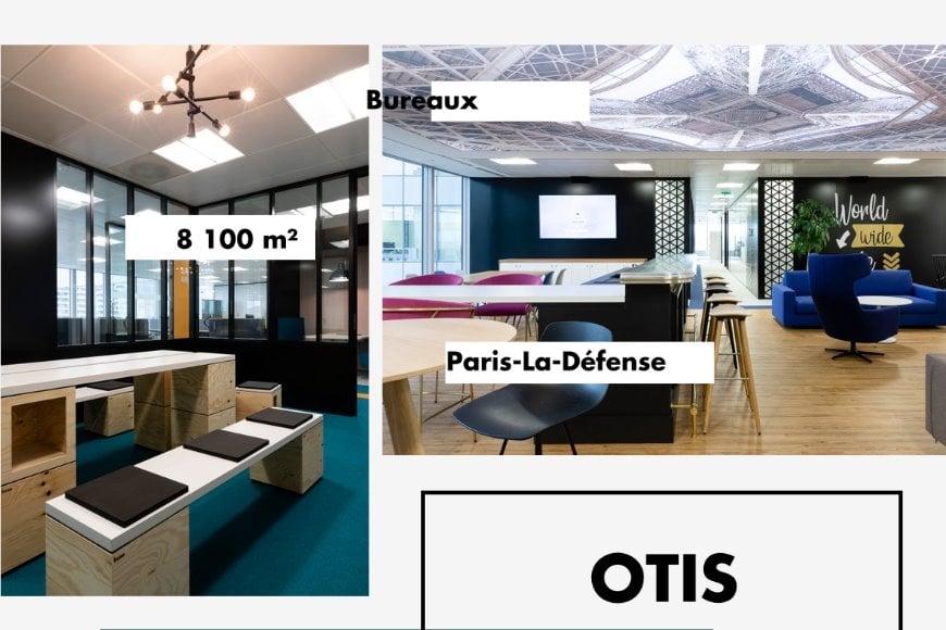 D&P_OTIS