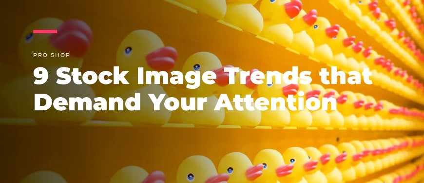 9 Stock Image Trends that Demand Your Attention - HEADER