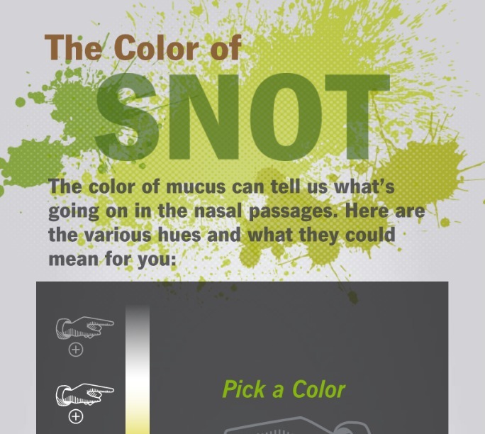 What Do Mucus Colours Mean - Infoupdate.org