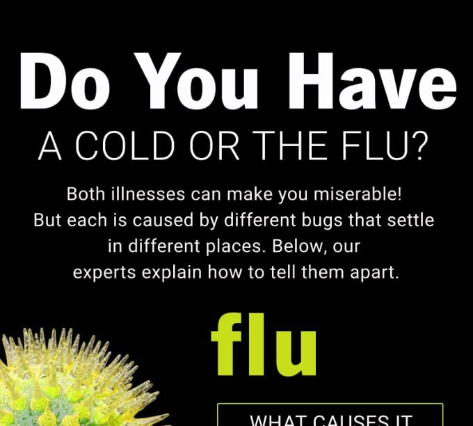 18-HPUL- Flu Infographic