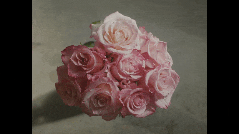 ES_AUDEMARS-PIQUET_VANITY-FAIR_AWARENESS_ANIMATED-QUOTE_BRIGETTE_CANVAS ...