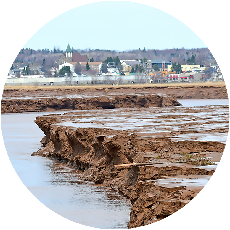 Major City Insights: Moncton major city insights, city insights ...