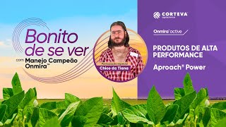 Manejo Campeao Onmira galeria Aproach bula Aproach bula aproach prima ...