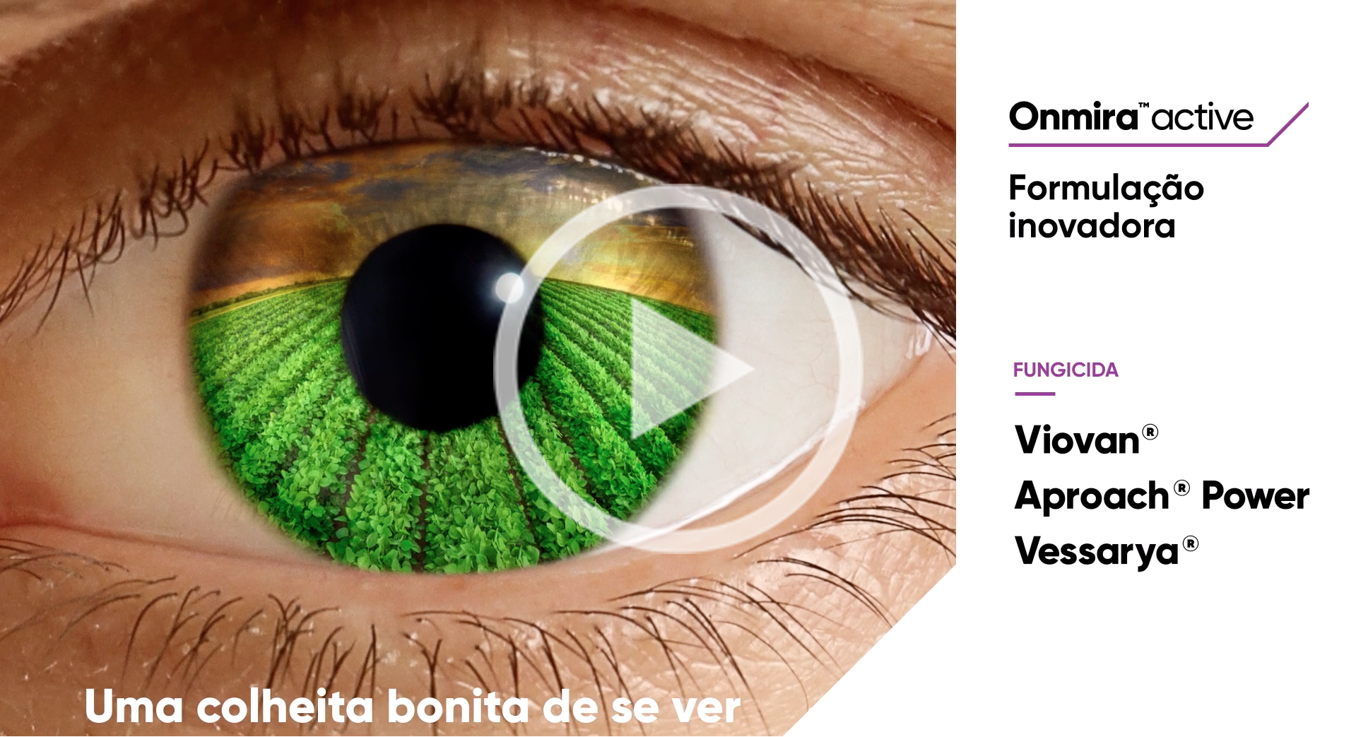 Manejo Campeao Onmira galeria Aproach bula Aproach bula aproach prima ...