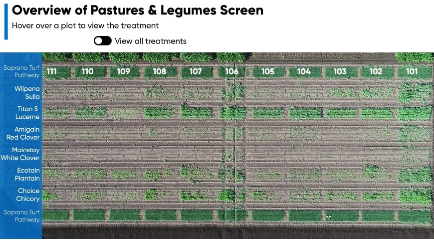 Pastures & Legumes Overview