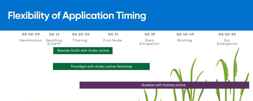 Flexibility of Application Timing