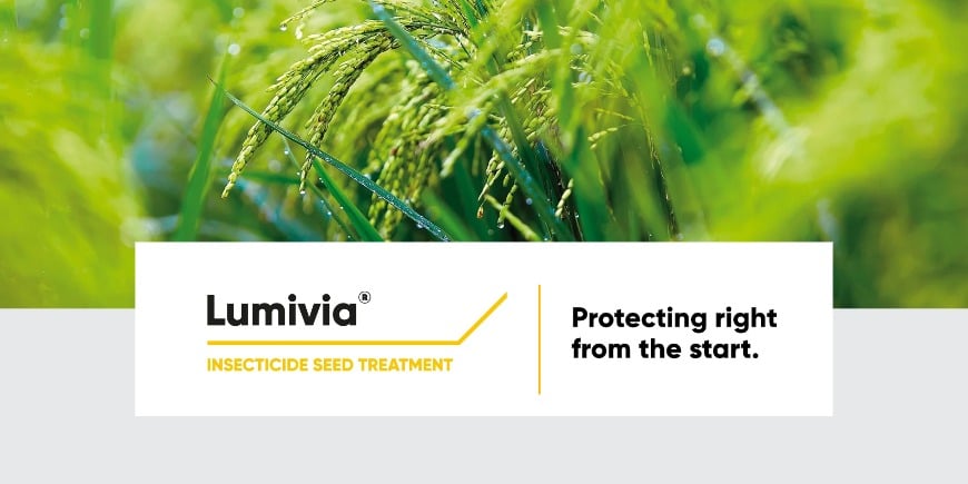 Lumivia Product header Copy