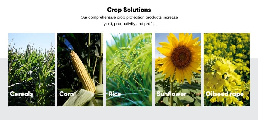 Crop solutions - Homepage