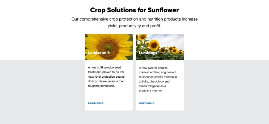 Crop solutions - Sunflower products