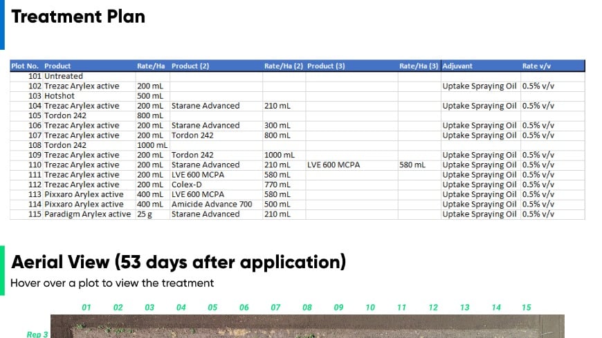 Trezac Fallow Buckwheat