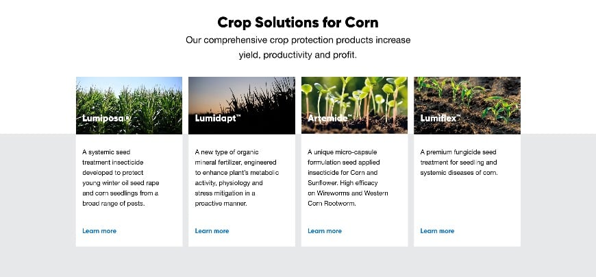 Crop solutions - Corn products with Artemide