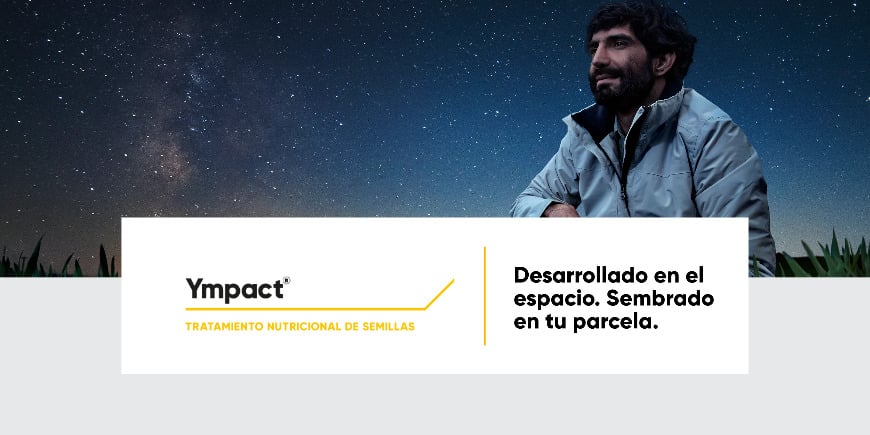 Ympact Cabecera