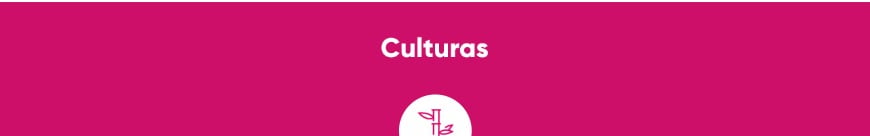 Corteva - Curavial e Relicta - Parte 2