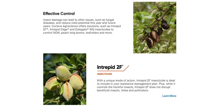 Tree Nut - Insect Management