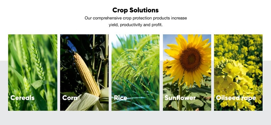 Crop solutions - Homepage Copy