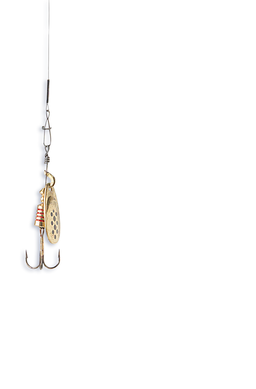 Davey Bales Fish Bait Animation