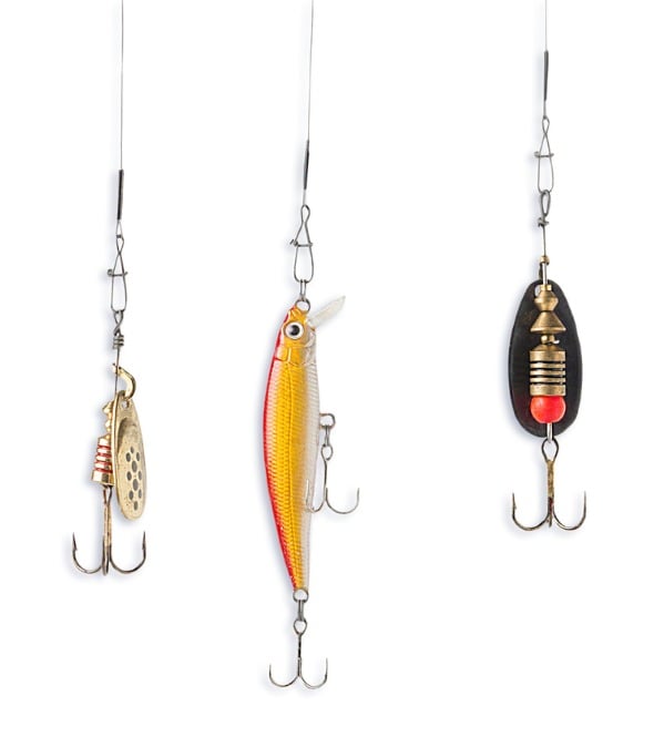 Davey Bales Fish Bait Animation