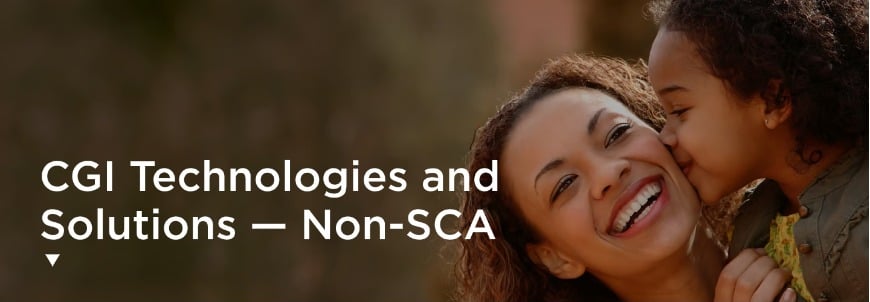 CGI Technologies and Solutions — Non-SCA