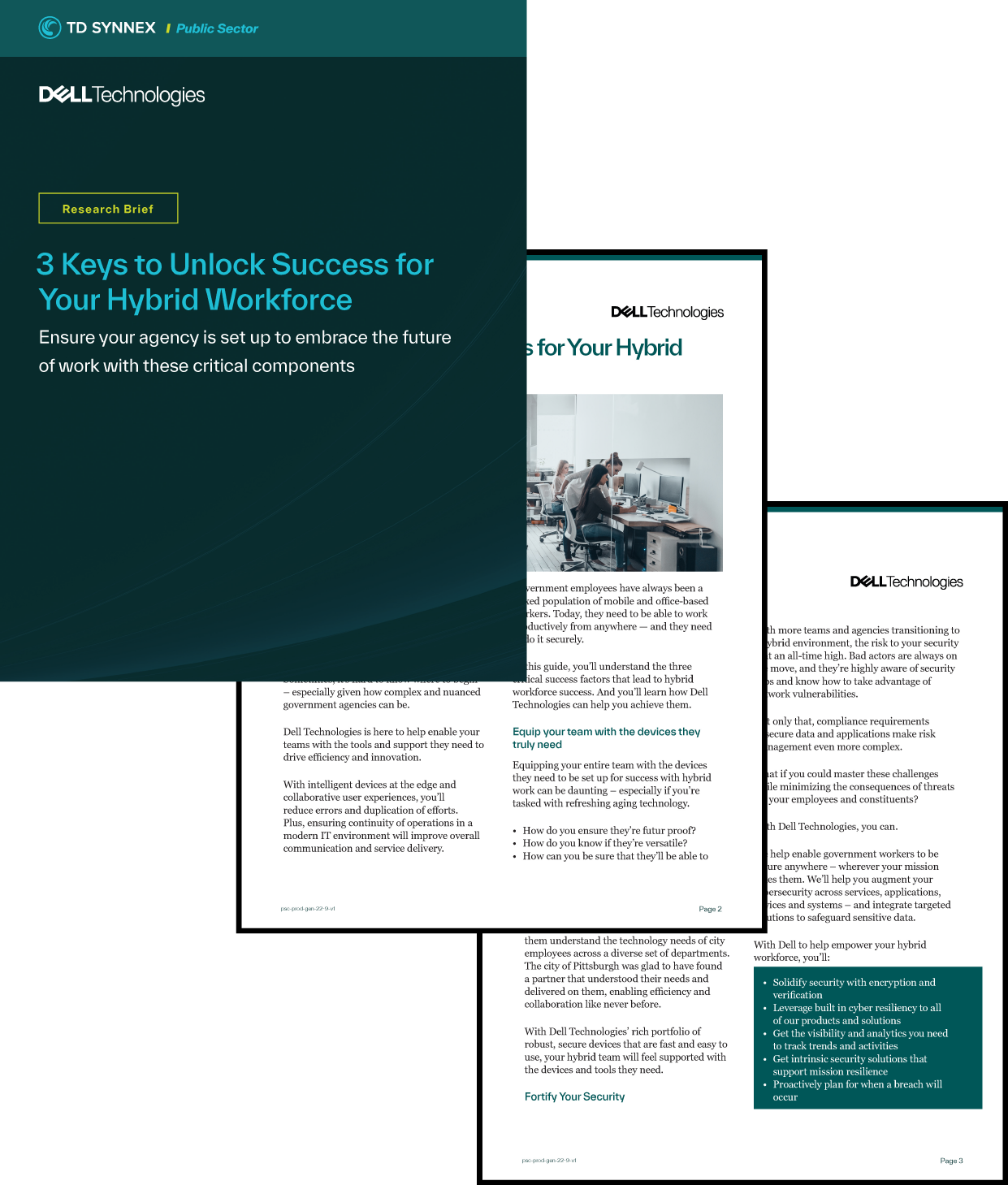 TDSPS Dell CSG Landing Page