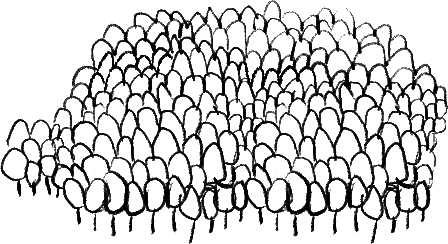 Desolation of Thiel - DESKTOP