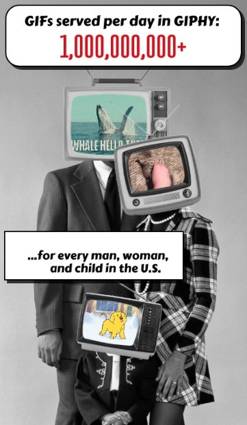 GIFs per day