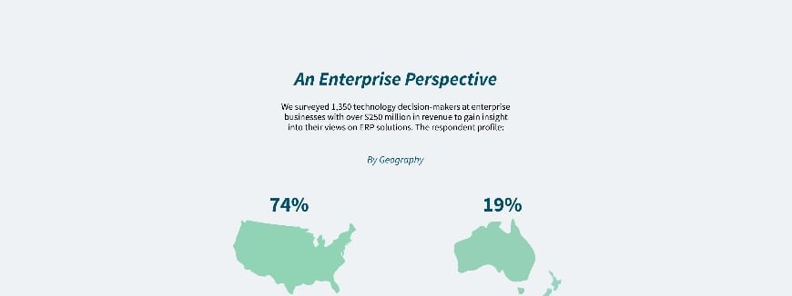 Enterprise Perspective