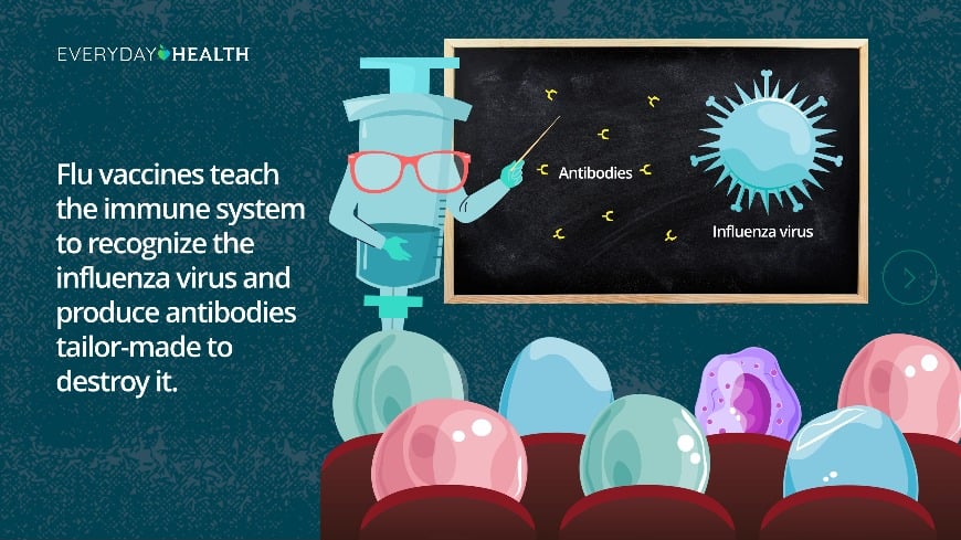 How Does the Flu Vaccine Work?