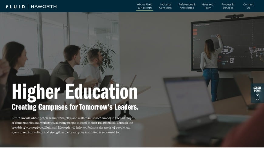 Higher Education