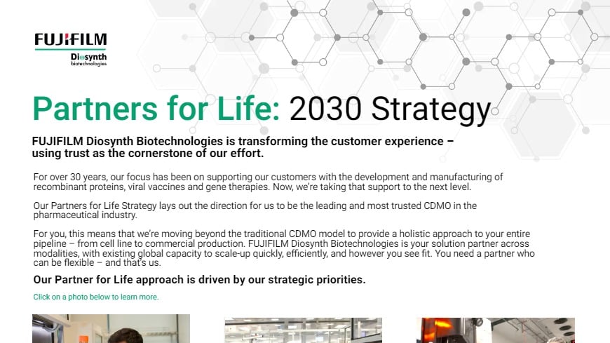 Partners for Life Strategy 2024