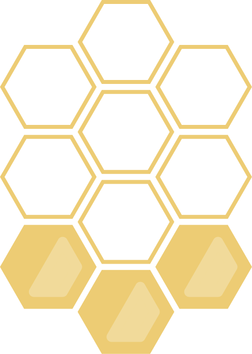 Hive9 HV001 IP