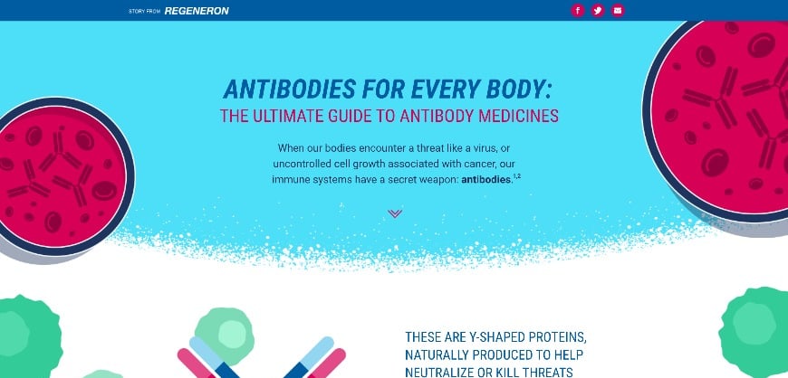 2020-1909-Infographic-Antibodies for Every Body