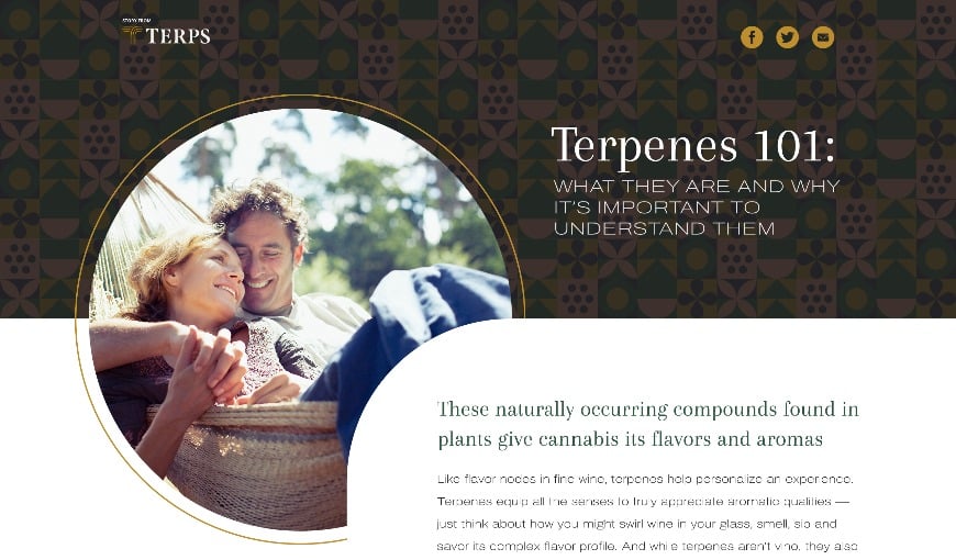 2021-6190-Infographic 1-Terpenes 101