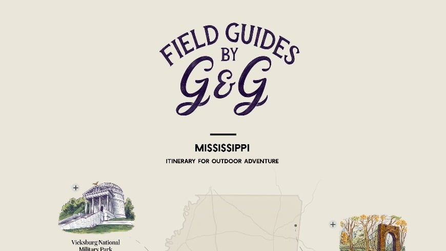 Field Guide - Visit MS